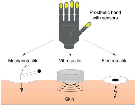 Figure 11 From Prosthetic Control And Sensory Feedback For Upper Limb Amputees Semantic Scholar
