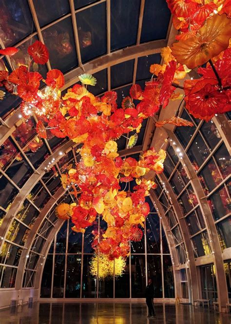 Why You Should Visit Chihuly Garden And Glass At Night