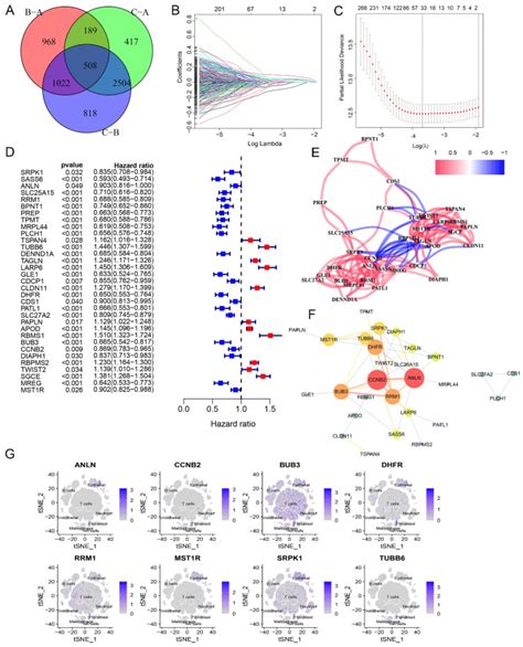 Integrated Multi Omics Data Analysis And In Vitro Validation Reveal The Crucial Role Of Glycogen