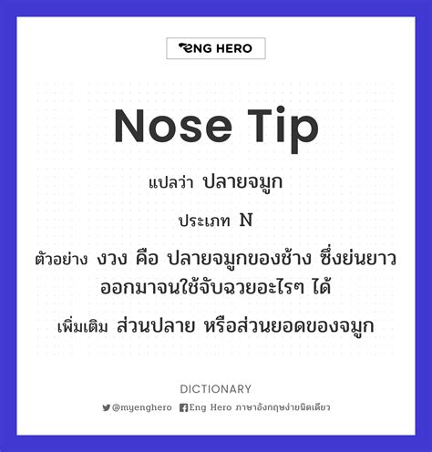 Nose Tip แปลว่า ปลายจมูก Eng Hero เรียนภาษาอังกฤษ ออนไลน์ ฟรี