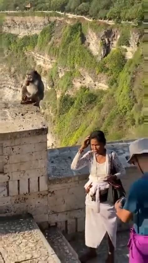 Tourist Gets Extorted By Local Punk R Peoplefuckingdying