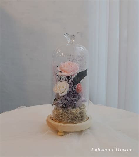 새장 유리돔 프리저브드플라워 결혼선물 집들이선물로 좋아요 In 동탄랩센트 네이버 블로그