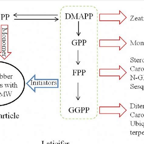 Heatmap Of FPKM Values Log FPKM For Differentially Expressed Download Scientific