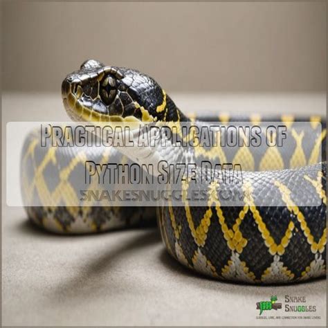 Python Body Length Vs Weight Shocking Size Secrets Revealed