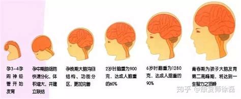 宝宝发育迟缓的原因是什么？家长该怎么办？ 知乎