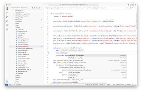 check related field for full field definition information · issue 22 · odoo ide vscode odoo