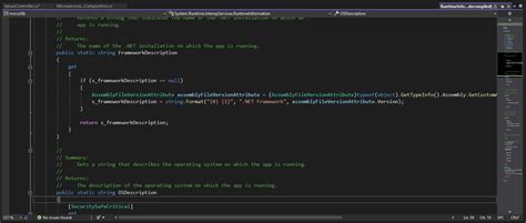 website hosted on iis contains multiple assemblyfileversionattribute what causes an error when