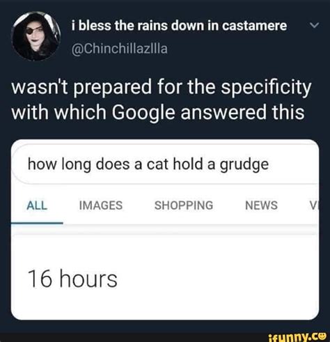 Specificity Memes Best Collection Of Funny Specificity Pictures On Ifunny