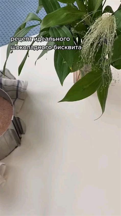 🥘 ВСЕ РЕЦЕПТЫ В ТГ КАНАЛЕ 🔥🔥🔥 ССЫЛКА В ПРОФИЛЕ Рецепты Рецепты еды Блюда без духовки