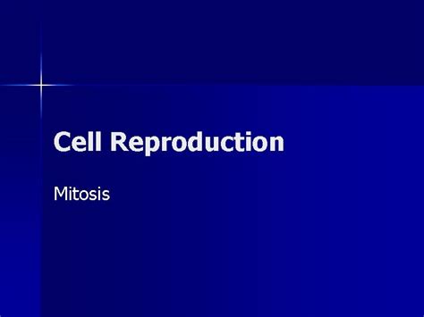 Cell Reproduction Mitosis Why Is Cell Division Important