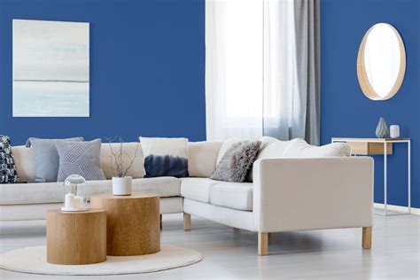 Cobalt Blue And Yellow Living Room Ideas Baci Living Room