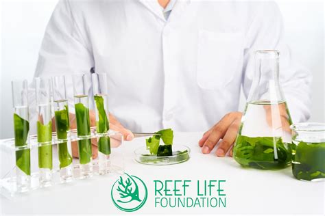 Marine Edna Biodiversity Report On Oceanite From Nature Metrics