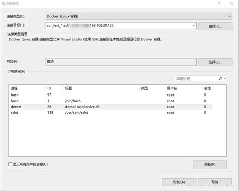 远程到docker容器内调试 asp net core aspnetcore 远程附加docker调试 使用私钥没反应 CSDN博客