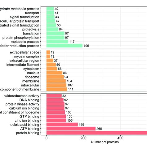 Go Annotation Classification Of Differentially Abundant Proteins In