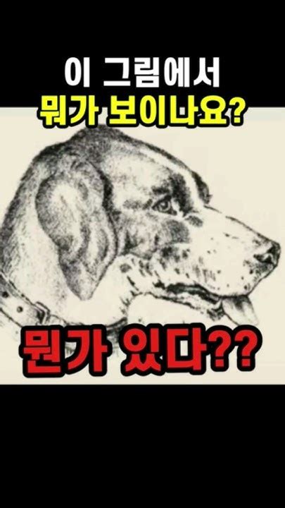 ⛺이 그림에서 뭐가 보이나요 뭔가 있다고요😨 Youtube