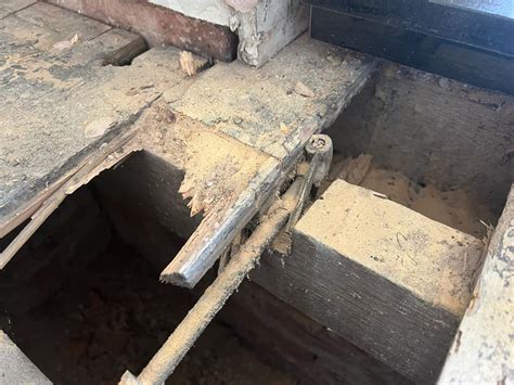 Woodworm Treatment Work Cgt Carpentry