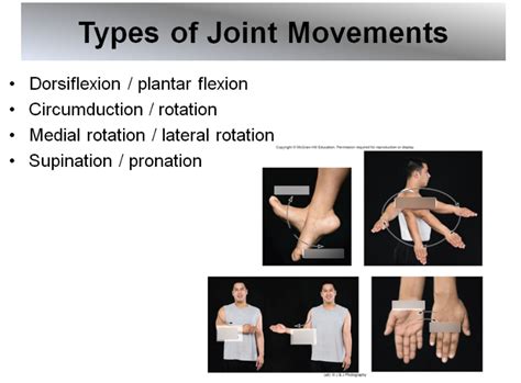 Bio 210 Practical 1 Review Movements Diagram Quizlet