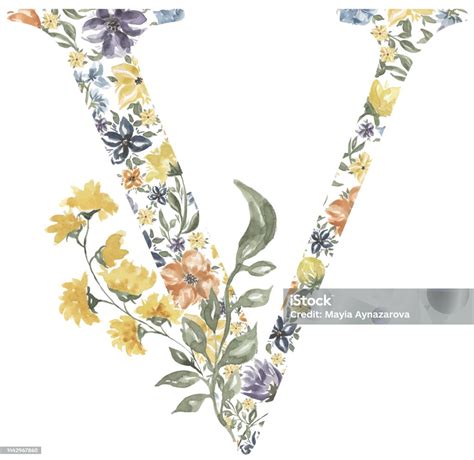 야생화 V 문자 클립 아트 꽃 알파벳 디자인 흰색 배경에 격리된 수채화 꽃 모노그램 그림 0명에 대한 스톡 벡터 아트 및 기타 이미지 Istock