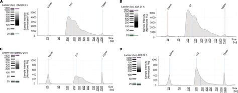 Cell Press Star Protocols
