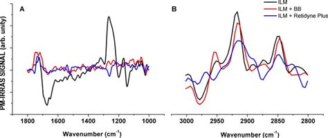 Polarization Modulation Infrared Reflection Absorption Spectroscopy