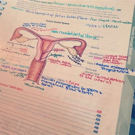 Medical Coding Certification Pass CPC ST ATTEMPT