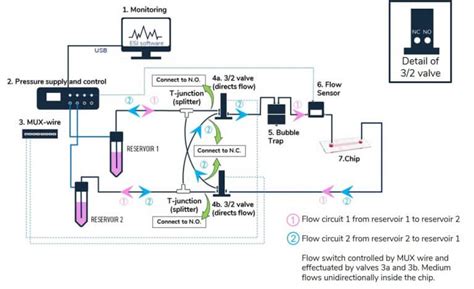 Revolutionize Your Experiments With A Recirculation Loop Setup