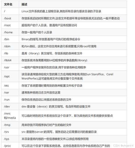 Linux文件类型和根目录结构 Csdn博客