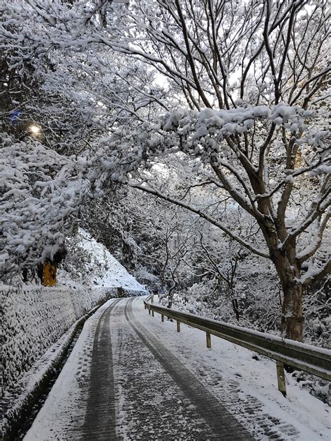錦帯橋の雪景色 岩国錦帯橋のお土産なら岩国れんこんポタージュのFRootsエフルーツ