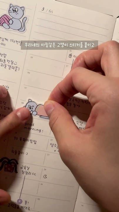 🏻 데일리 다이어리 쓰기 다꾸 다이어리꾸미기 Youtube