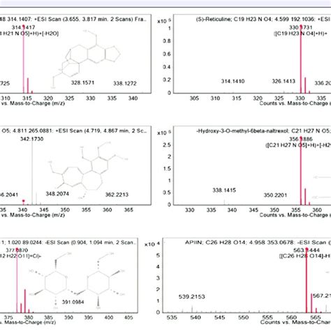 Mass Fragmentation Patterns Of Compounds Identified From Butanolic