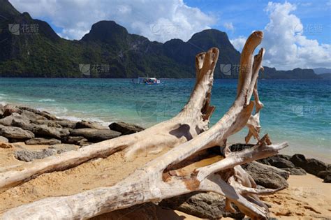 巴拉望 海滩 浮木 水 水平画幅 沙子 无人 异国情调 户外 干的