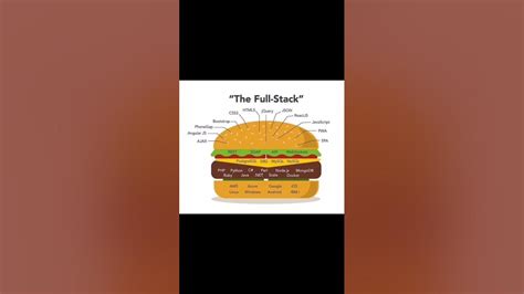 The Full Stack Developer Code Coder Coder Fullstack Shorts Yt Viral Programmer Youtube