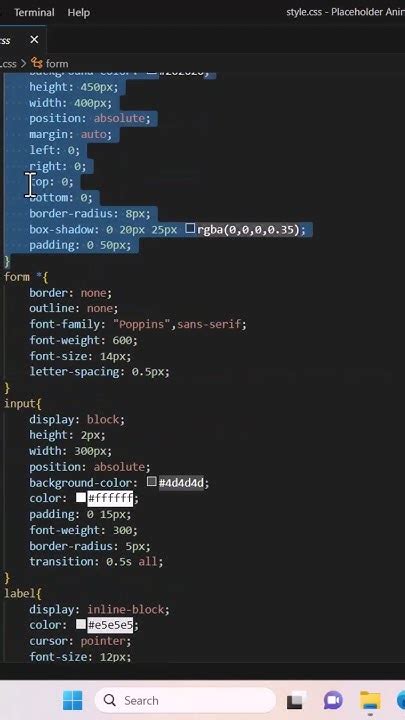 Create Placeholder Animation With Javascript Youtube