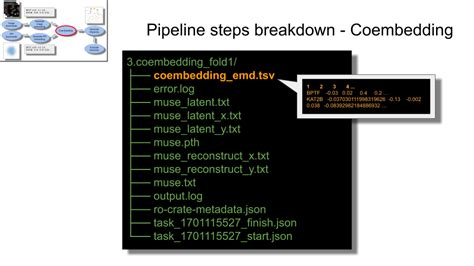 outputs — cell maps pipeline 1 3 0 documentation