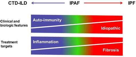 Schematic Representation Of The Spectrum Of Interstitial Lung Diseases