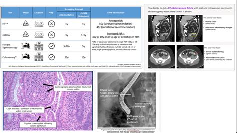 Sampling Of Infographics Radiologic Histologic And Endoscopic Images