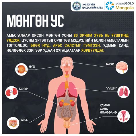Экологийн 🔬Мөнгөн ус нь мэдрэлийн системд хүчтэй нөлөөлдөг хор 🩻Тархи мэдрэлд хүчтэй гэмтэл