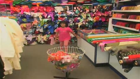 Buying A Sari Teletubbies Wiki Fandom