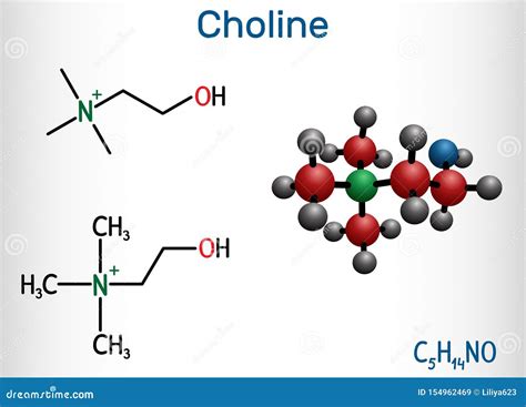 Lecithin Structure