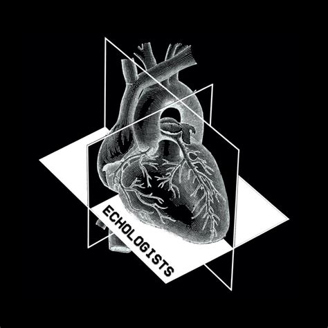 🫀3 Key Ways To Assess Rv Systolic Function In Echo But Not Limited To These 1️⃣ Tapse