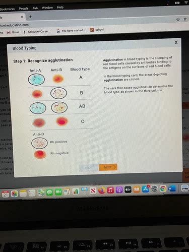 Lab 2 Flashcards Quizlet