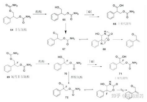 药物设计│先导化合物结构优化策略——结构修饰降低潜在毒性 知乎