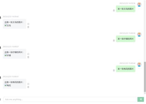 无法显示图片 Issue Chanzhaoyu chatgpt web GitHub