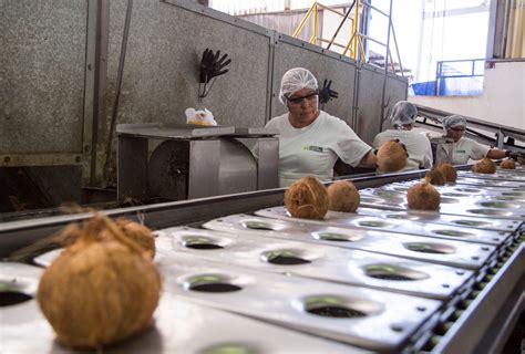 Así Es Como El Sabor Del Coco Mexicano Se Expande Por El Mundo