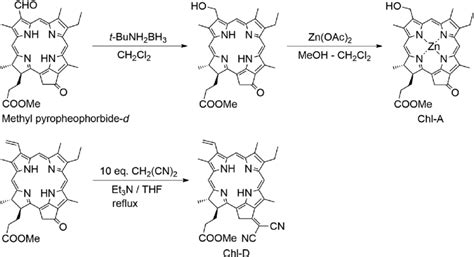 Synthetic Routes Of Chl A And Chl D Download Scientific Diagram