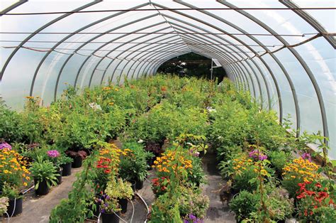 Precision Nursery Irrigation Using Wireless Tensiometer Landscape Ontario