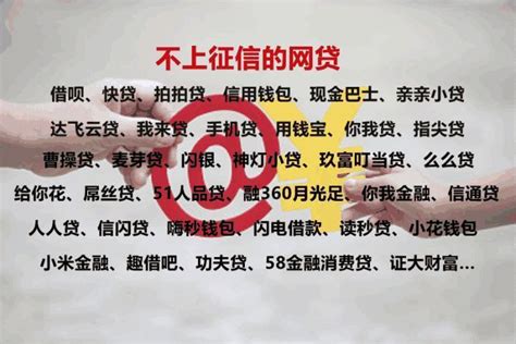 不用征信的网贷有哪些？ 人人理财
