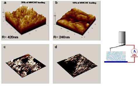 Figure 4 From Development Of Tunable Nanocomposites Made From Carbon
