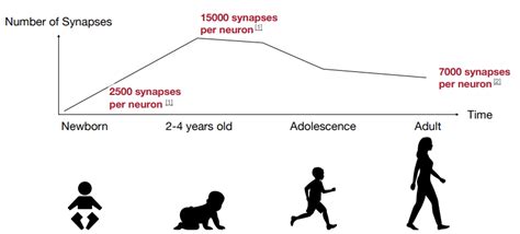 Techniques To Make Deep Learning Efficient Pruning And Leverage Sparse Tensor Cores Of A100