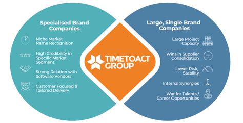 Achieving More Together Strategy Of Timetoact Group Timetoact Group